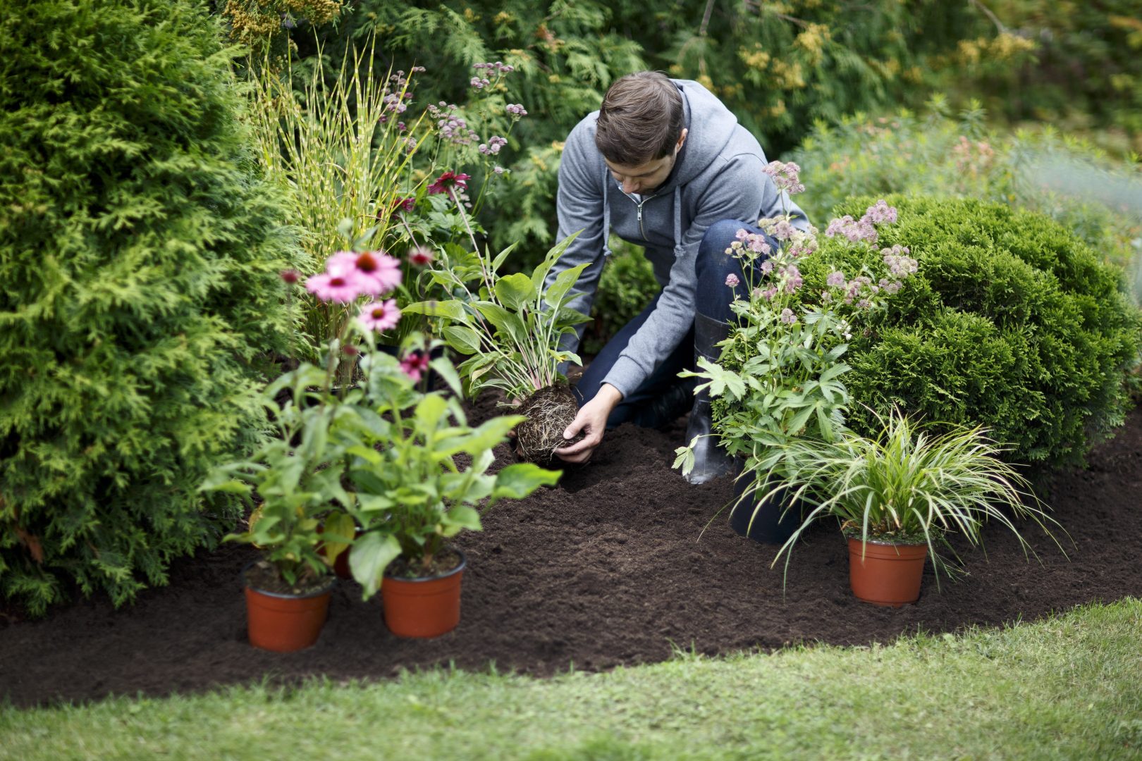 Rabatter - Perenner och mindre buskar - Hasselforsgarden.se