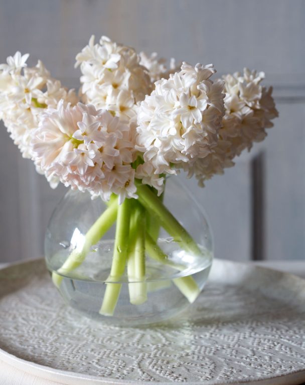 Dekorera med julblommor - Hasselforsgarden.se