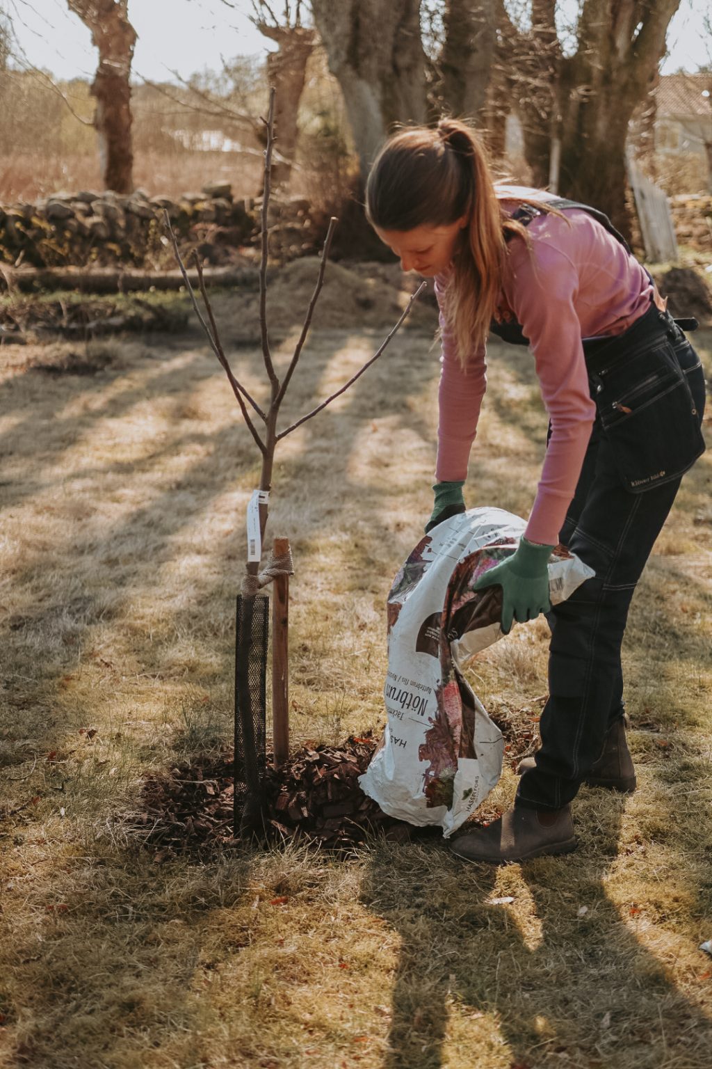 Vad är mulching och varför är det bra? - Hasselforsgarden.se
