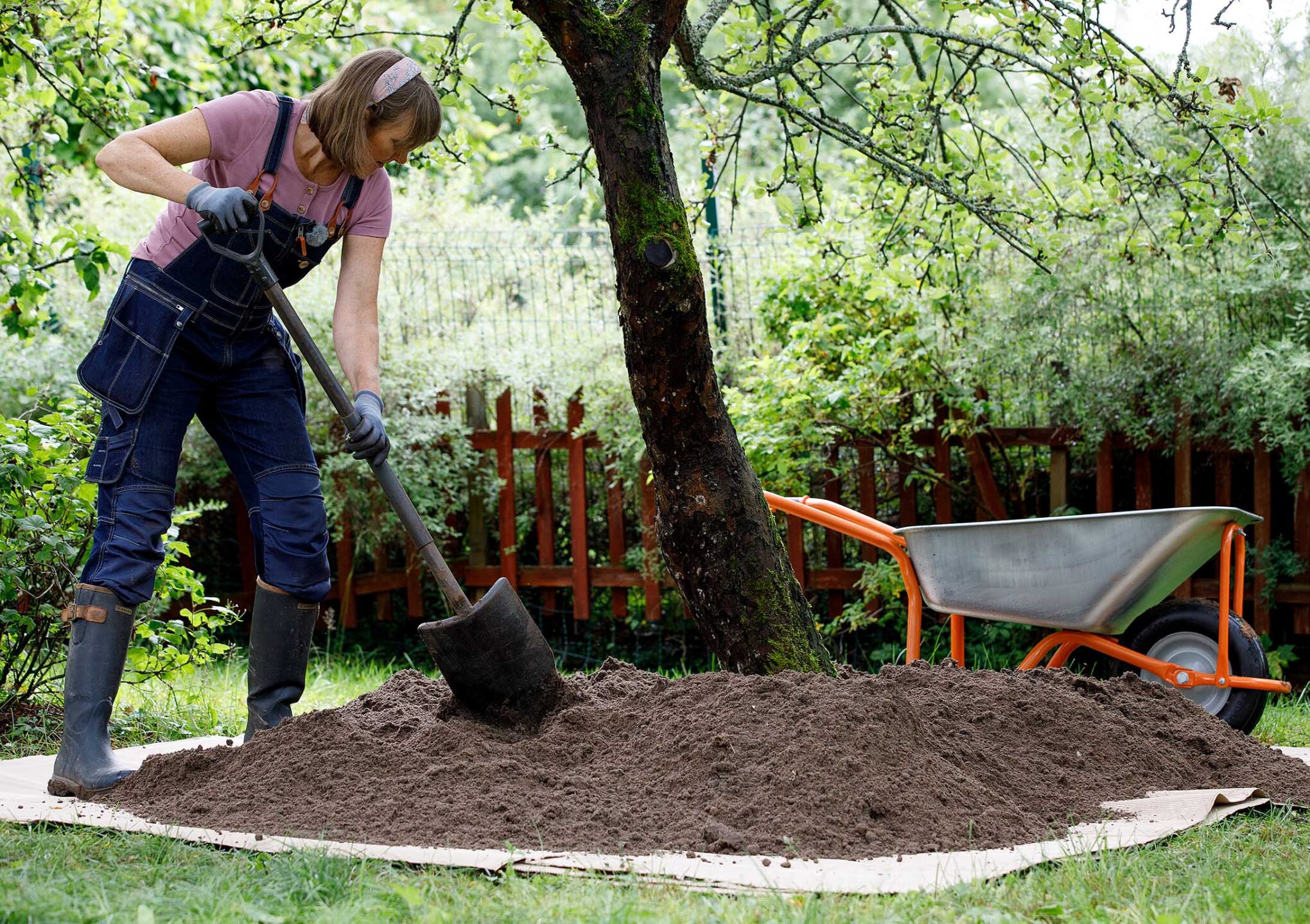 En no-dig rabatt under träden med ätliga perenner - Hasselforsgarden.se