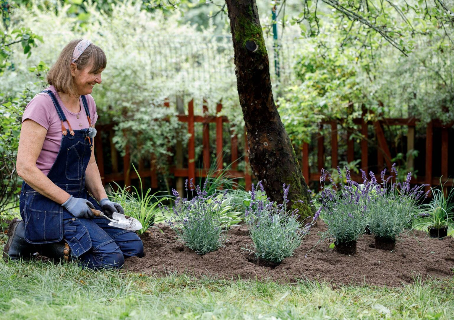 En no-dig rabatt under träden med ätliga perenner - Hasselforsgarden.se