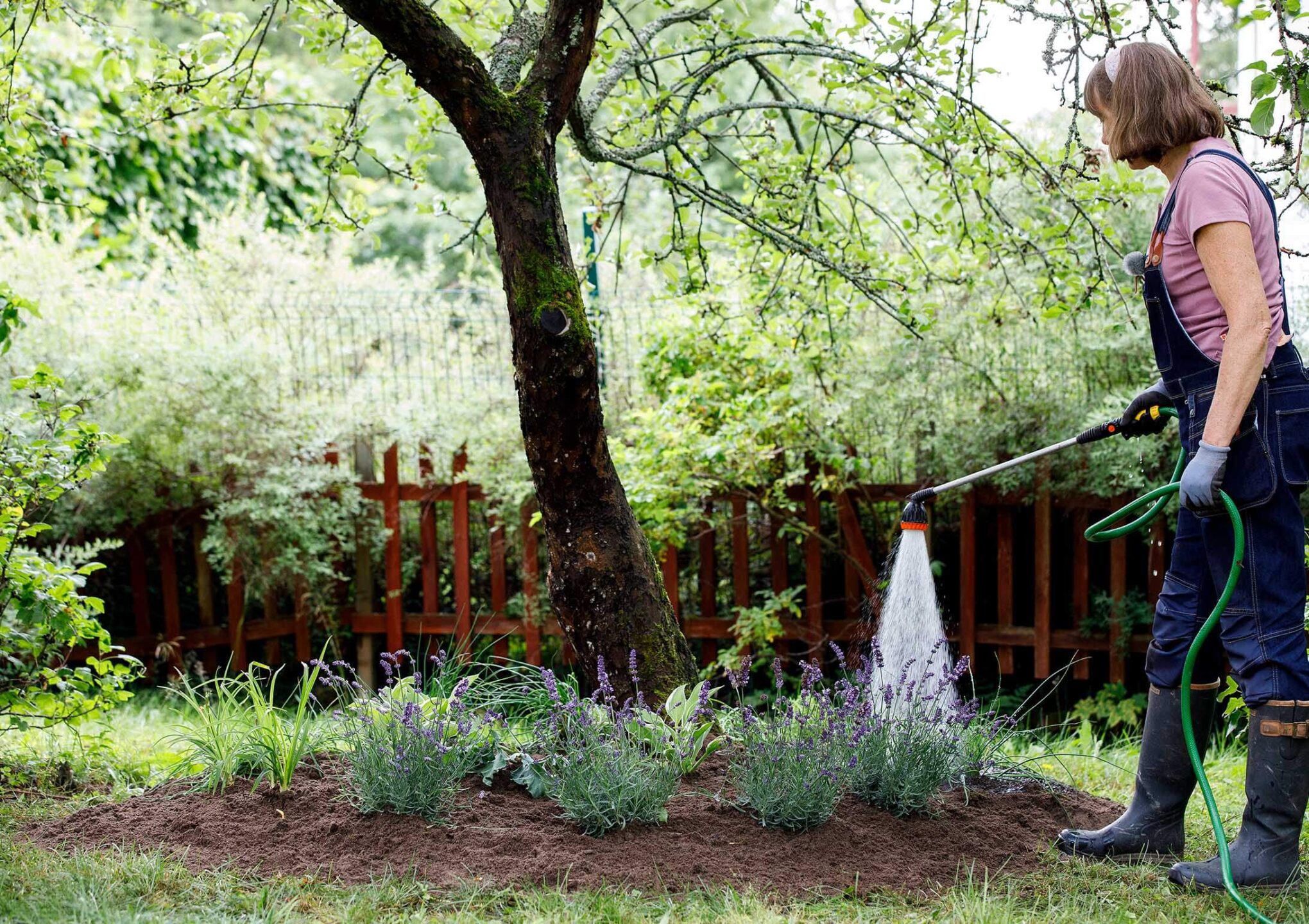 En no-dig rabatt under träden med ätliga perenner - Hasselforsgarden.se